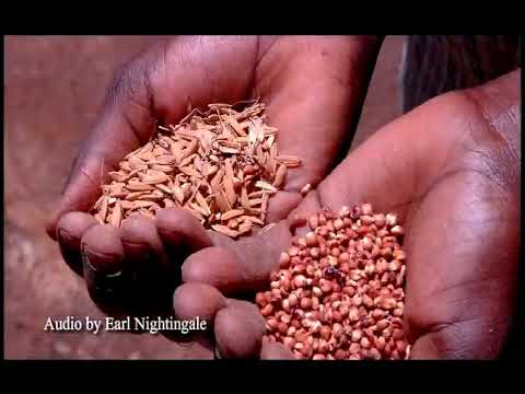 hqdefault-318 | The House of Harakhti